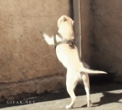 GIF vomit - animated GIF on GIFER