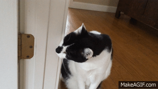 Season wall GIF - Find on GIFER