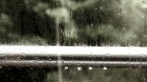 Window Rain Gif It's Raining It's Pouring — Earthanthem: (via