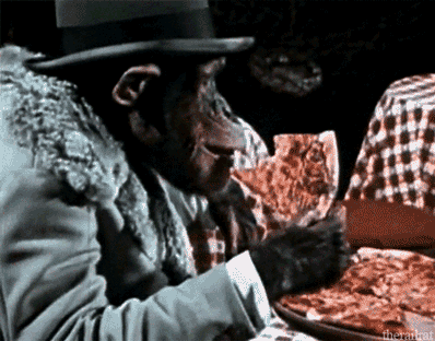 Monkey pizza GIF on GIFER - by Kerdin