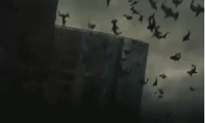 Images bones GIF - Find on GIFER