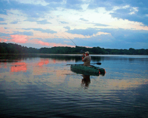 GIF fishing - animated GIF on GIFER