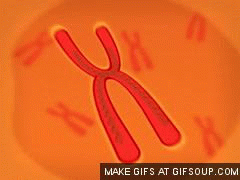 Cancer GIF - Find on GIFER