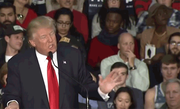 GIF trump rally - animated GIF on GIFER