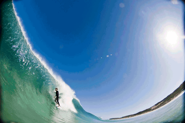 GIF surfing - animated GIF on GIFER