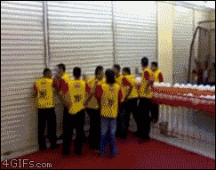 Stampede GIF - Find on GIFER
