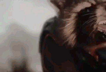 GIF tom cruise simon pegg mission impossible rogue nation - animated ...