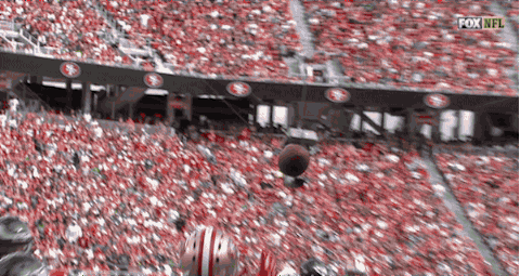 San francisco 49ers GIF - Find on GIFER
