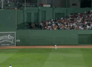 GIF coco crisp - animated GIF on GIFER
