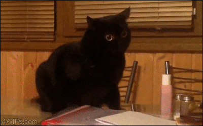 Wiggle GIF - Find on GIFER
