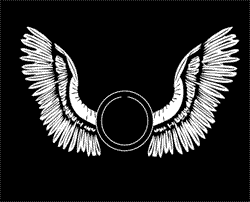Wings GIF - Find on GIFER