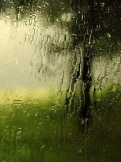 Raining GIF - Find on GIFER