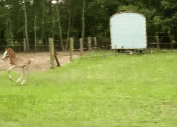Whoops GIF - Find on GIFER