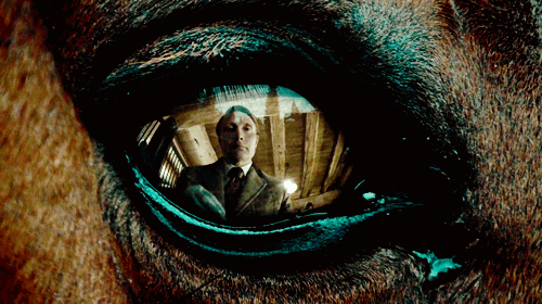 GIF nbc hannibal - animated GIF on GIFER