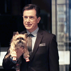 Stephen colbert gq GIF - Find on GIFER