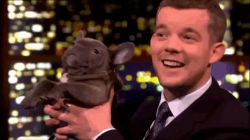 Russell GIF - Find on GIFER