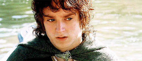 GIF the lord of the rings frodo fellowship of the ring - animated GIF ...