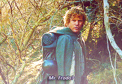 Sam the lord of the rings frodo GIF - Find on GIFER
