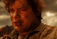 Pippin GIF - Find on GIFER