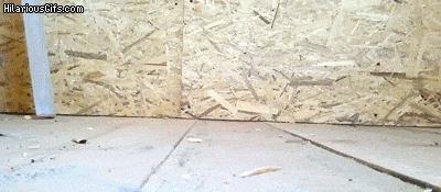 Cat week pipe GIF - Find on GIFER