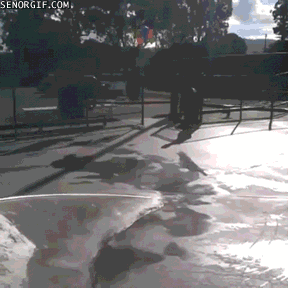 Land GIF - Find on GIFER