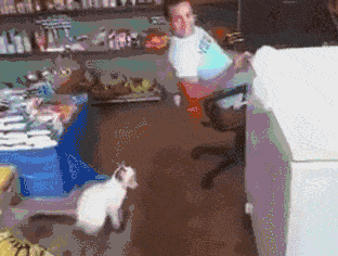 Trap GIF - Find on GIFER