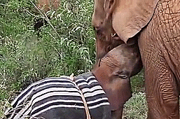 Medicine GIF - Find on GIFER