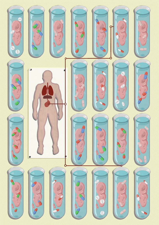 Robin davey GIF - Find on GIFER