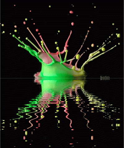 GIF splash - animated GIF on GIFER