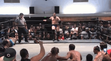 Pwg GIF - Find on GIFER