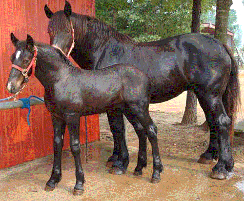 GIF draft dreams georgia - animated GIF on GIFER