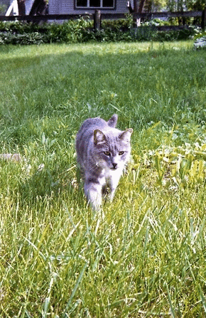 Zoom GIF - Find on GIFER