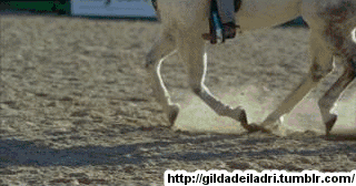 Horse western riding GIF - Find on GIFER