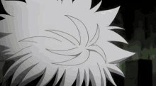Show dolphins GIF - Find on GIFER