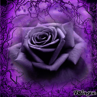 Pule GIF - Find on GIFER