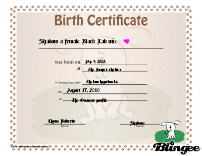 Birth GIF - Find on GIFER