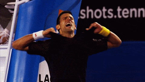 GIF djokovic celebration tennis - animated GIF on GIFER