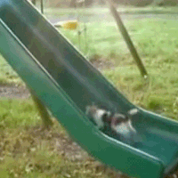 Never back down GIF - Find on GIFER