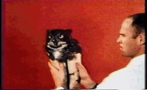 Rotation GIF - Find on GIFER