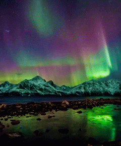 Aurora landscape GIF - Find on GIFER