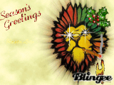Rasta GIF - Find on GIFER
