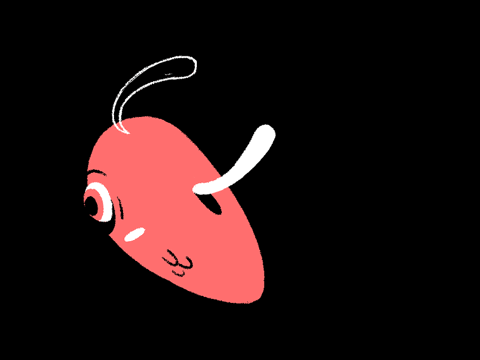 Gif Raro Rarotonga: The South Pacific Gem Just Hours Away | Explore