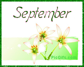 September GIF - Find on GIFER