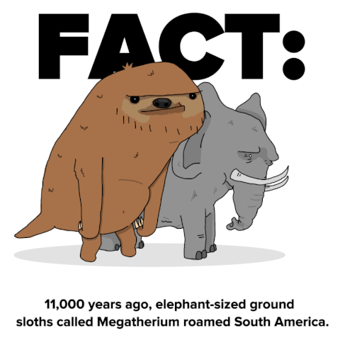 Facts GIF - Find on GIFER