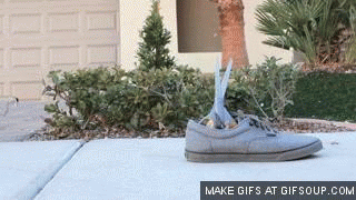 Scissors GIF - Find on GIFER