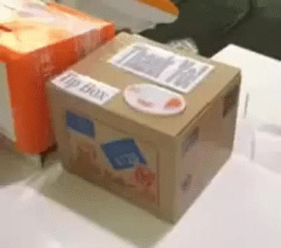 World blog harry GIF - Find on GIFER