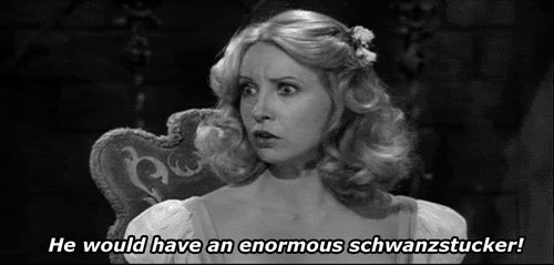 GIF mel brooks meme - animated GIF on GIFER