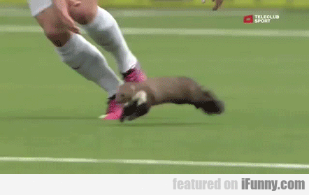 Catch GIF - Find on GIFER