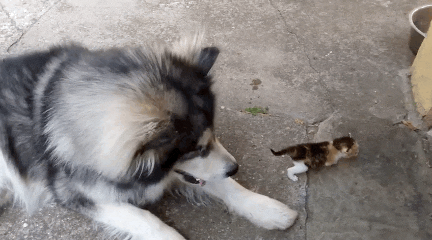 Priceless GIF - Find on GIFER