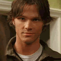 GIF sassy - animated GIF on GIFER